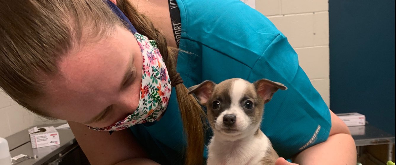 Preventative Care | Women's Animal Center